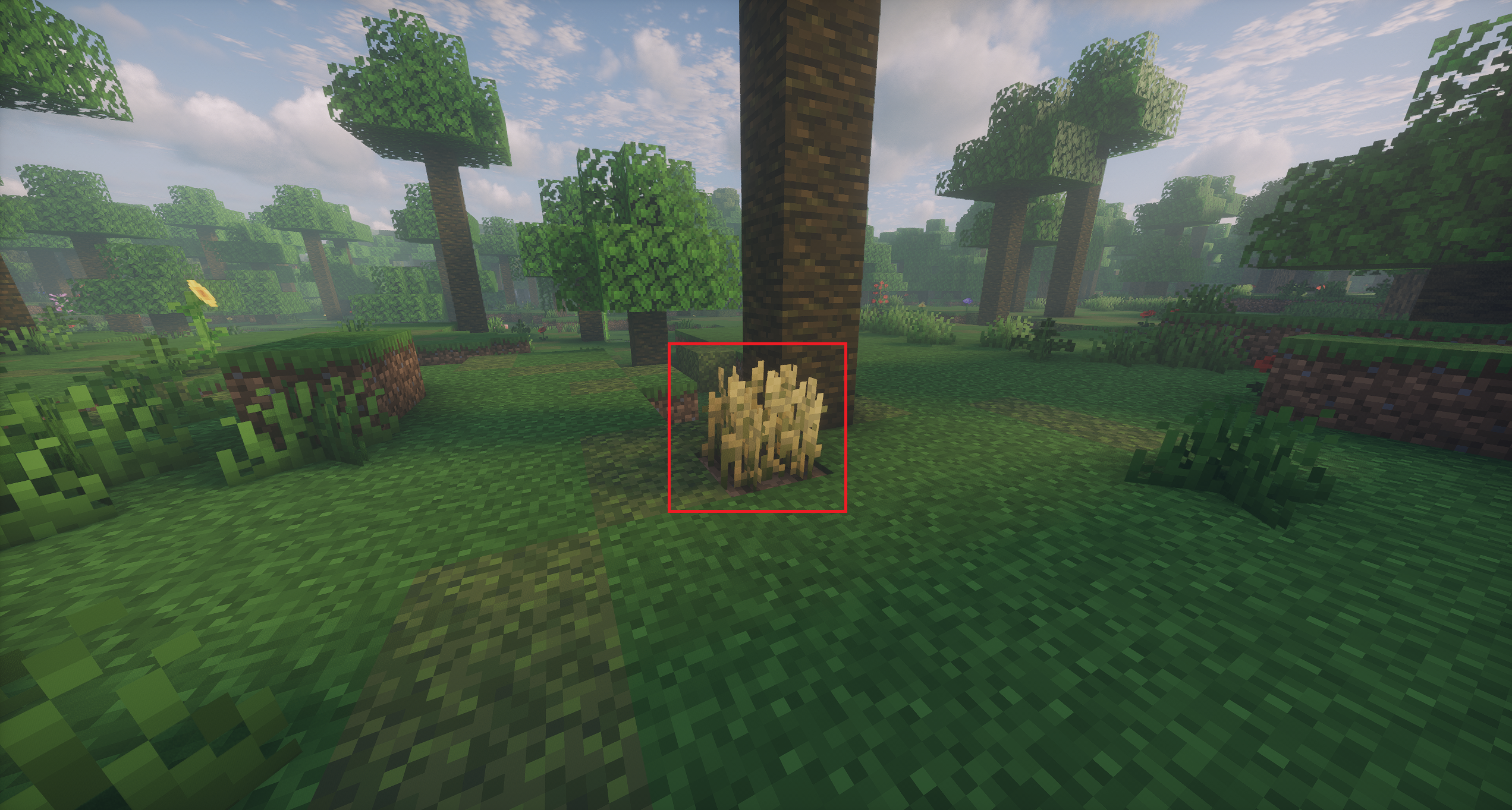 Colony Craft | Colony Craft